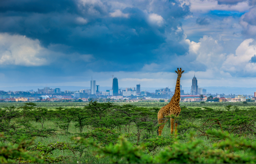 A Vision Beyond Sight: The World Unseen Exhibition Illuminates the ...